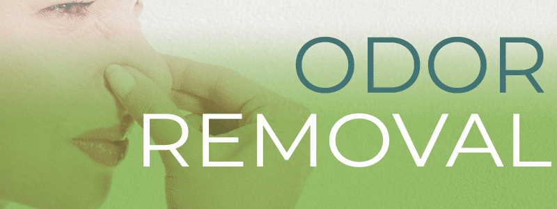 Decomposition & Odor Removal | Nationwide Service | Bio Recovery