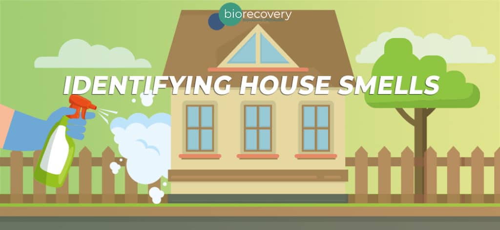 Identifying Common Smells In Your House | Bio Recovery