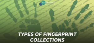 How Do Forensics Collect Fingerprints? | Bio Recovery