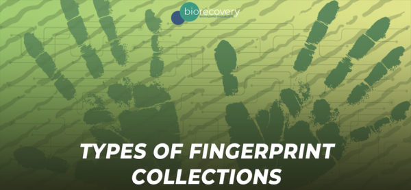 How Do Forensics Collect Fingerprints? | Bio Recovery