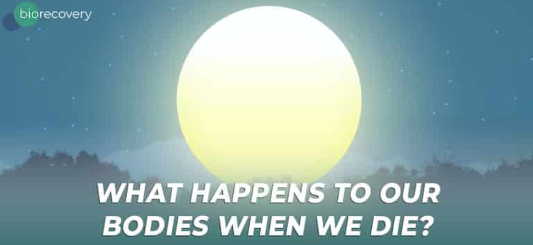 What Happens To Your Body When You Die? | Bio Recovery