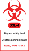 What Viruses Are Considered Biosafety Level 4? | Bio Recovery